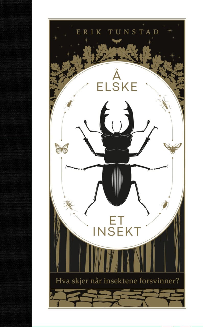 Å elske et insekt. Hva skjer når insektene forsvinner? - Humanist forlag